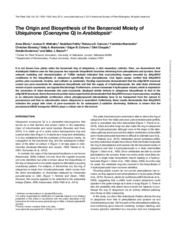(PDF) The Origin and Biosynthesis of the Benzenoid Moiety of Ubiquinone ...
