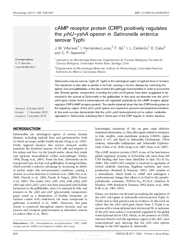 (PDF) cAMP receptor protein (CRP) positively regulates the yihU-yshA ...