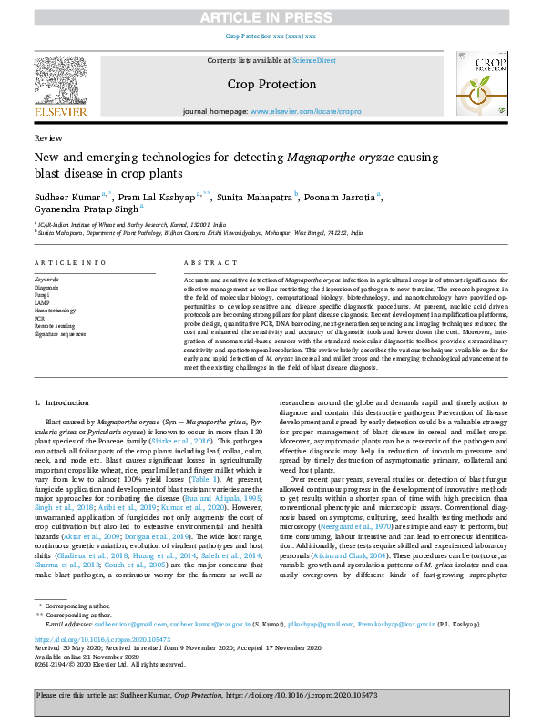 (PDF) New and emerging technologies for detecting Magnaporthe oryzae causing blast disease in ...