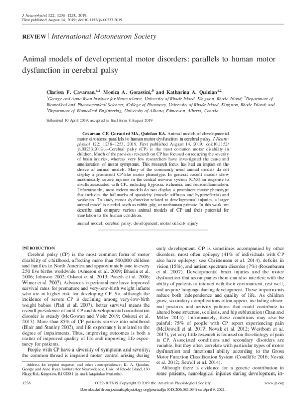 (PDF) Animal models of developmental motor disorders: parallels to ...