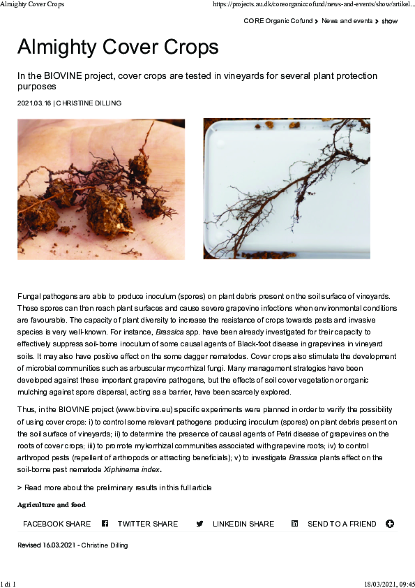 (PDF) Almighty Cover Crops