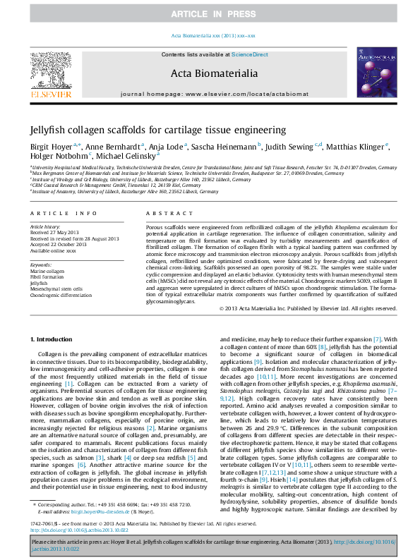 (PDF) Jellyfish collagen scaffolds for cartilage tissue engineering