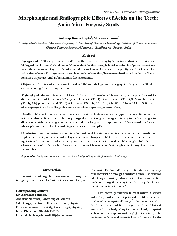(PDF) Morphologic and Radiographic Effects of Acids on the Teeth: An in ...