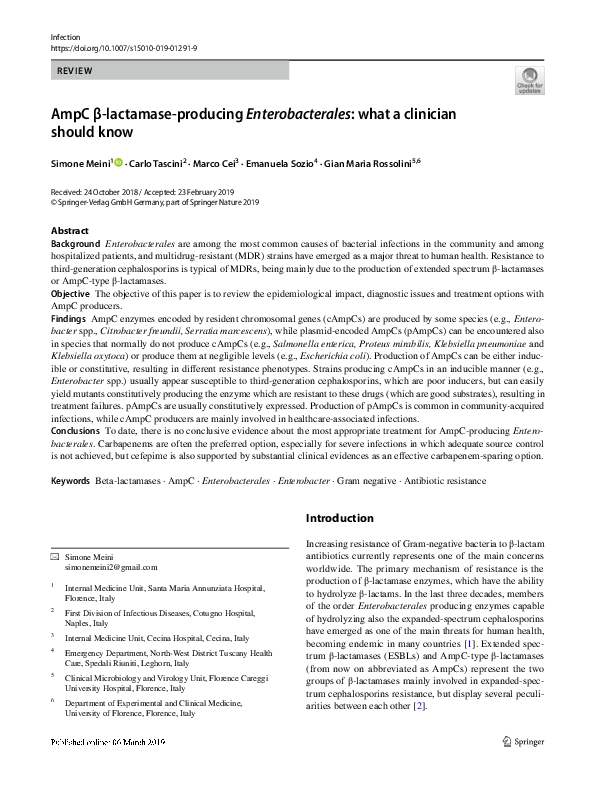 (PDF) AmpC β-lactamase-producing Enterobacterales: what a clinician ...