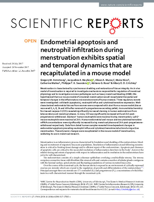 Pdf Endometrial Apoptosis And Neutrophil Infiltration During Menstruation Exhibits Spatial And