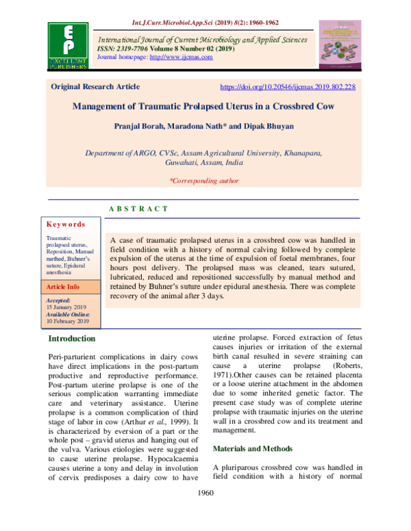 (PDF) Management of Traumatic Prolapsed Uterus in a Crossbred Cow