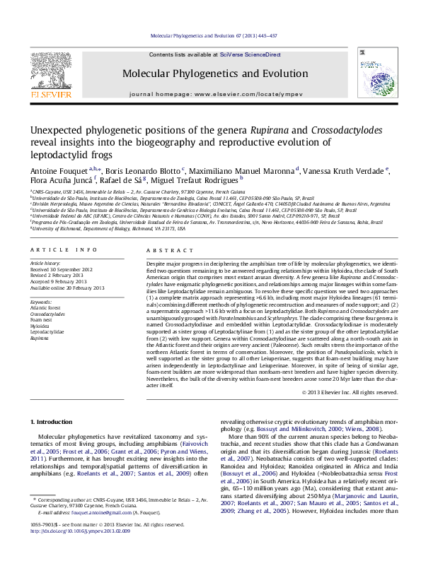 (PDF) Unexpected phylogenetic positions of the genera Rupirana and ...