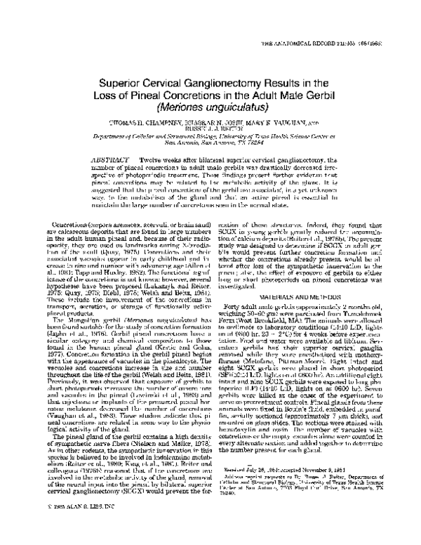 (PDF) Superior cervical ganglionectomy results in the loss of pineal ...