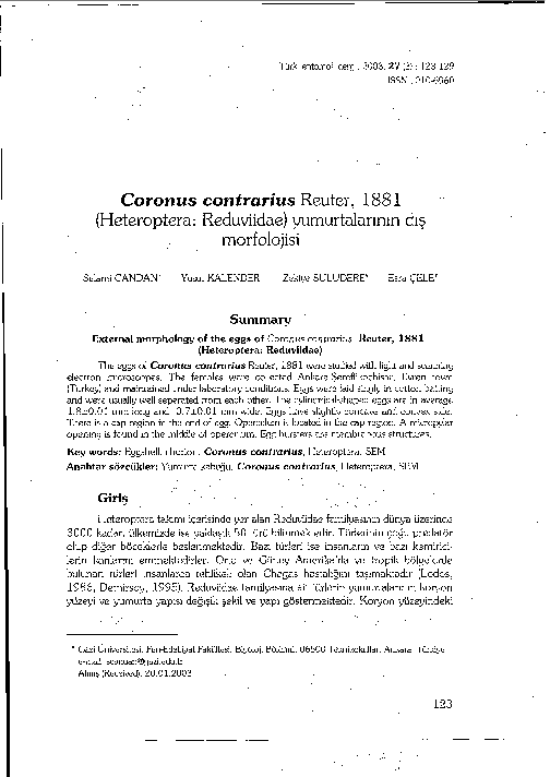 (PDF) External morphology of the eggs of Coronus contrarius Reuter ...
