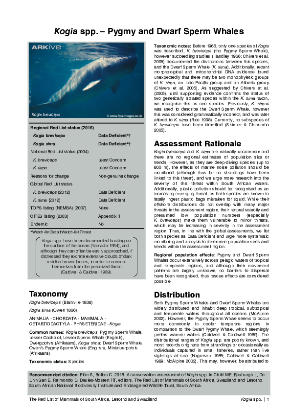 (PDF) Kogia spp. – Pygmy and Dwarf Sperm Whales
