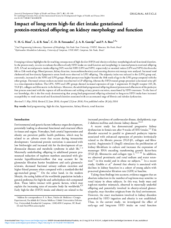 (PDF) Impact of long-term high-fat diet intake gestational protein ...