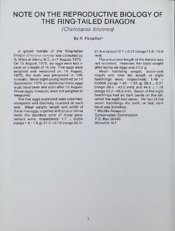 (PDF) Notes on the reproductive biology of the Ring-tailed Dragon ...