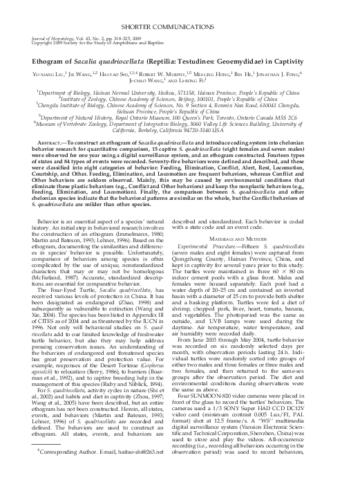 (PDF) Ethogram of Sacalia quadriocellata (Reptilia: Testudines ...