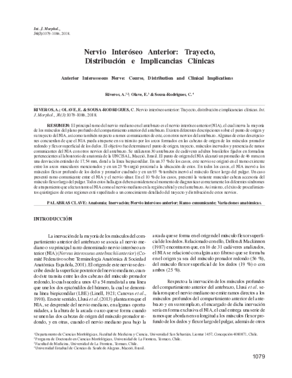 (PDF) Nervio Interóseo Anterior: Trayecto, Distribución e Implicancias ...