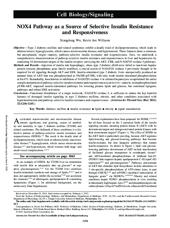 (PDF) NOX4 Pathway as a Source of Selective Insulin Resistance and ...