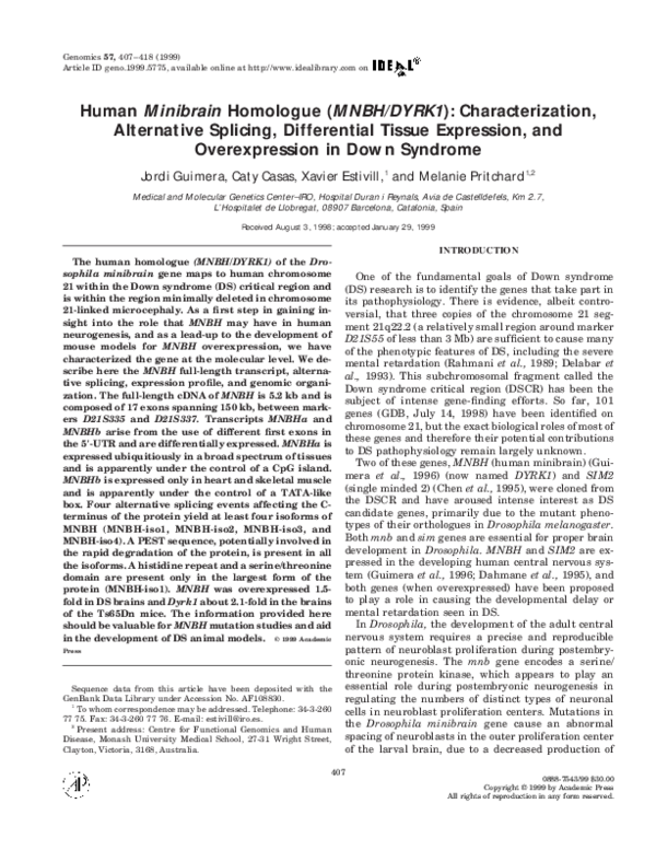 (PDF) HumanMinibrainHomologue (MNBH/DYRK1): Characterization ...