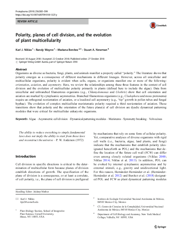 (PDF) Polarity, planes of cell division, and the evolution of plant ...