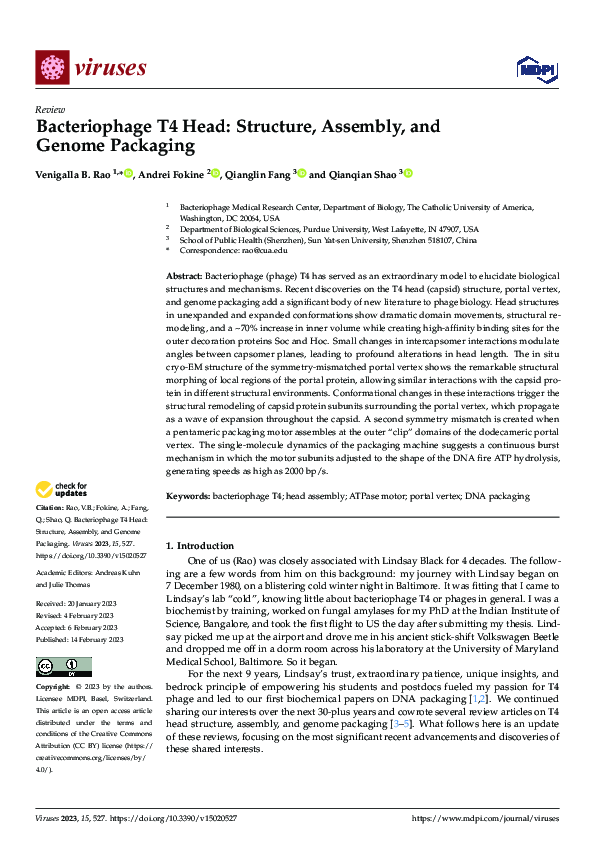 (PDF) Bacteriophage T4 Head: Structure, Assembly, and Genome Packaging