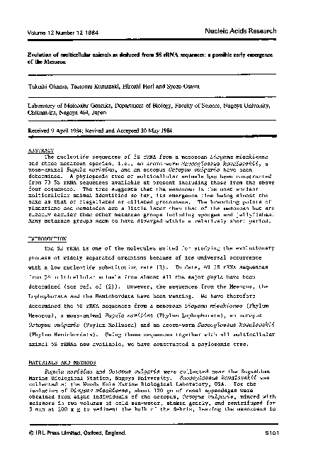 (PDF) Evolution of multicellular animals as deduced from SS rRNA ...