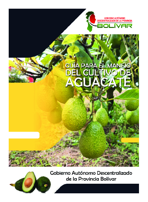 (PDF) GUIA DE MANEJO DEL CULTIVO DE AGUACATE