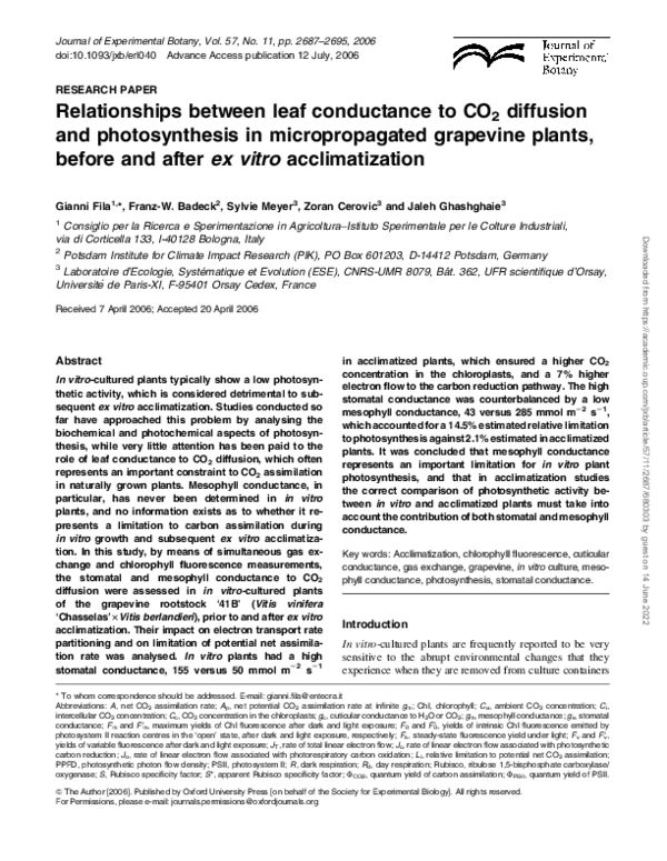 (PDF) Relationships between leaf conductance to CO2 diffusion and ...