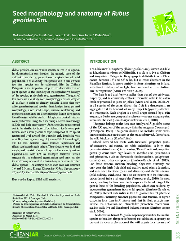 (PDF) Seed morphology and anatomy of Rubus geoides Sm | Melissa Fredes ...