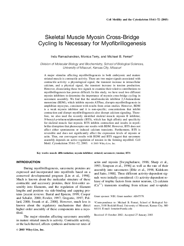 (PDF) Skeletal muscle myosin cross-bridge cycling is necessary for ...