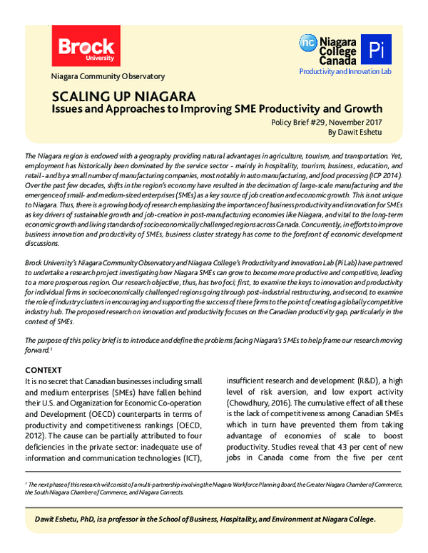(PDF) Saling Up Niagara: Approaches to Improving SME Productivity and ...