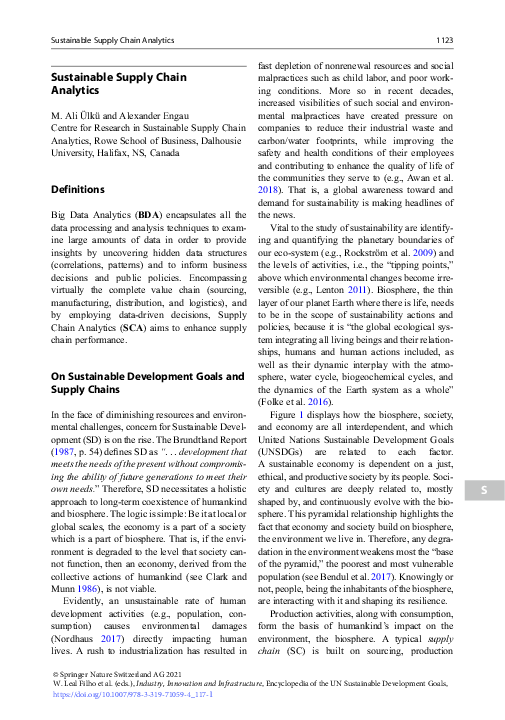 (PDF) Sustainable Supply Chain Analytics