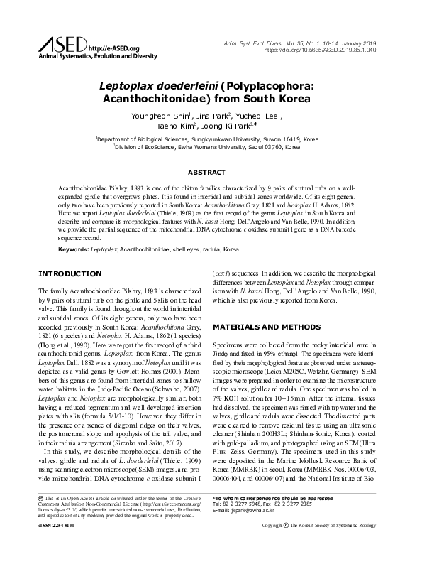 (PDF) A new species of Tertiary Notoplax (Mollusca: Polyplacophora ...