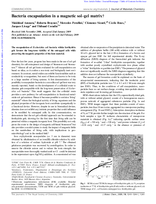 (PDF) Bacteria encapsulation in a magnetic sol-gel matrix