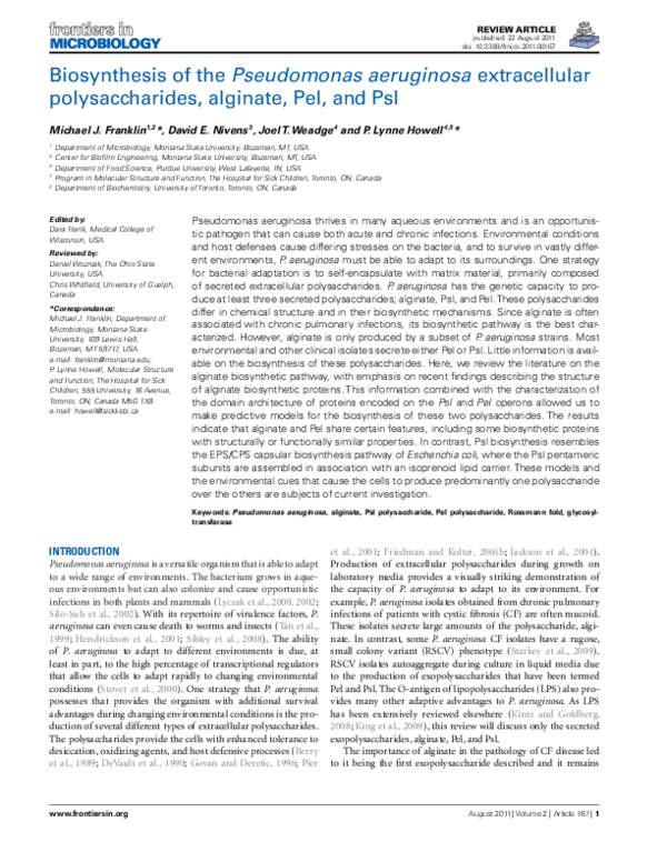 (PDF) Biosynthesis of the Pseudomonas aeruginosa extracellular ...