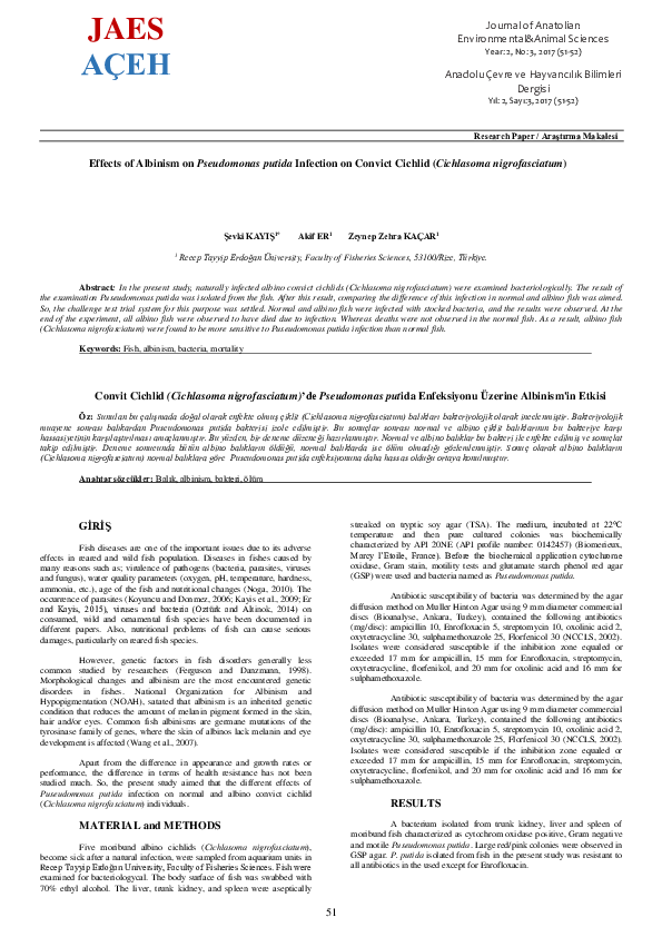 (PDF) Effects of albinism on Pseudomonas putida infection on convict ...