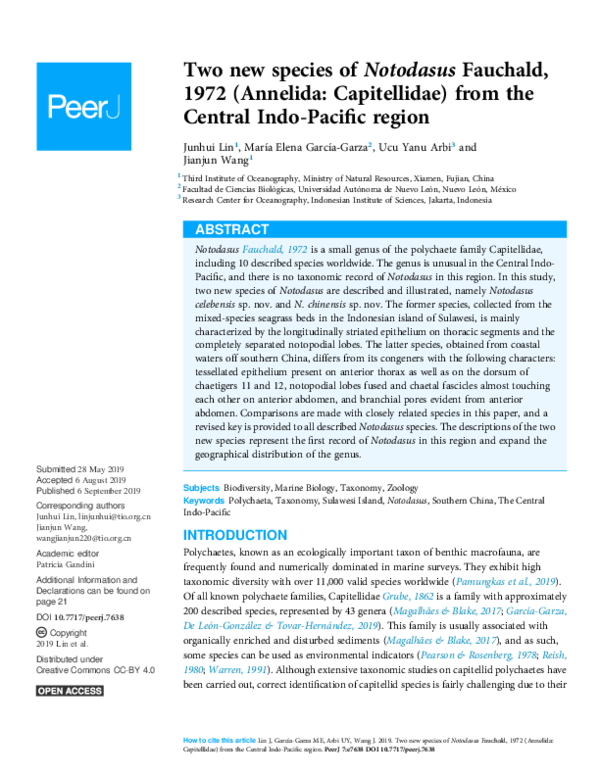 (PDF) Two new species of Notodasus Fauchald, 1972 (Annelida ...