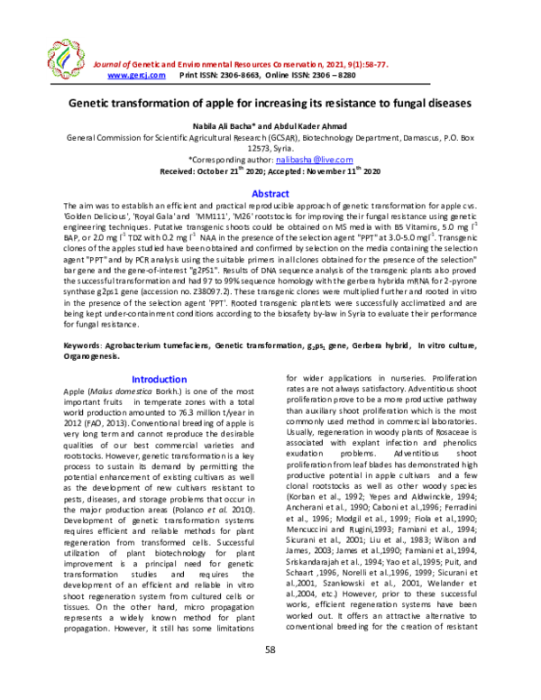 (PDF) Genetic transformation of apple for increasing its resistance to ...