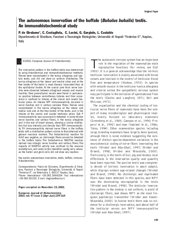 (PDF) The autonomous innervation of the buffalo (Bubalus bubalis ...