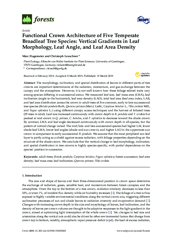 (PDF) Functional Crown Architecture of Five Temperate Broadleaf Tree ...