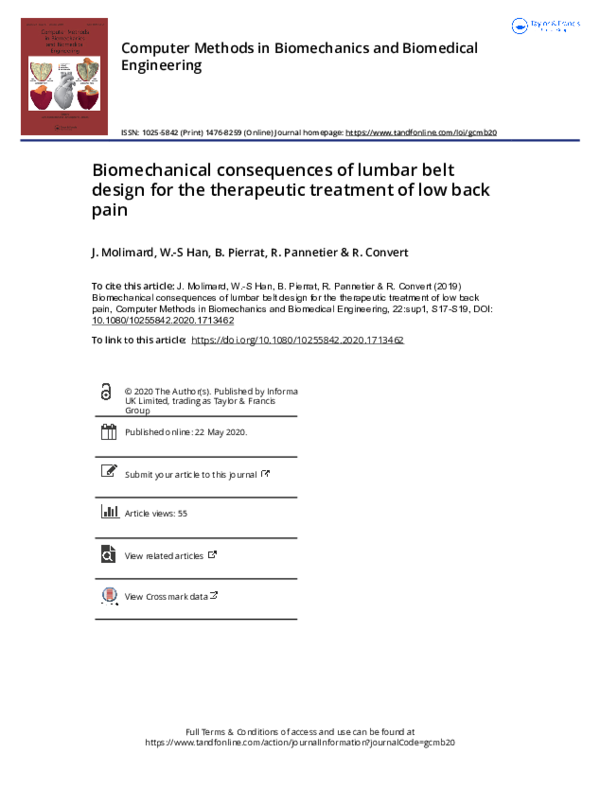 (PDF) Biomechanical consequences of lumbar belt design for the ...