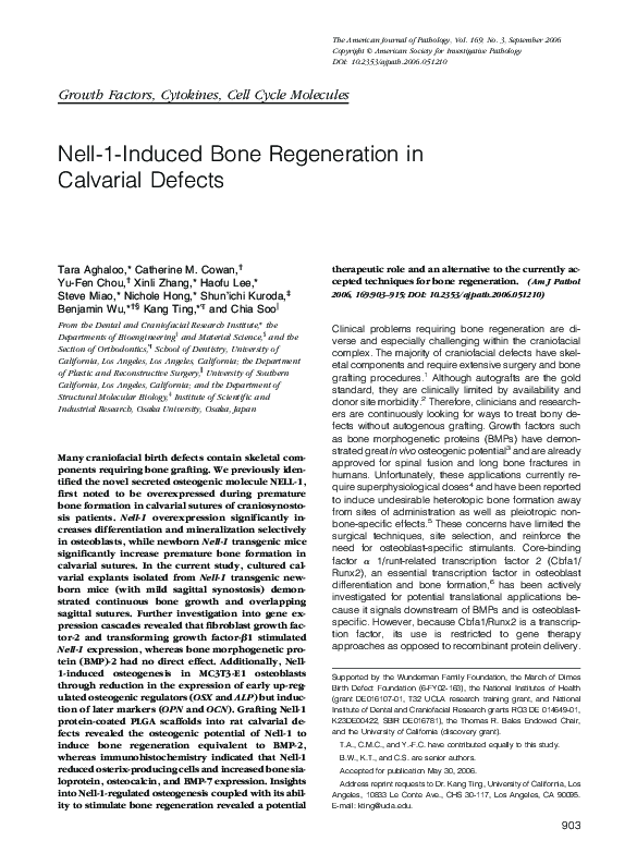 (PDF) Nell-1-Induced Bone Regeneration in Calvarial Defects