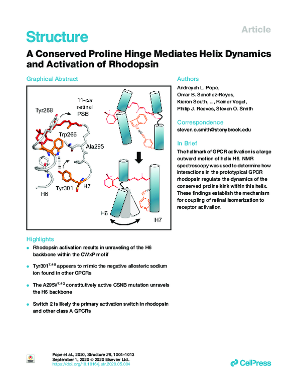 (PDF) A Conserved Proline Hinge Mediates Helix Dynamics and Activation ...