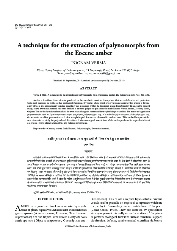 (PDF) A technique for the extraction of palynomorphs from the Eocene amber