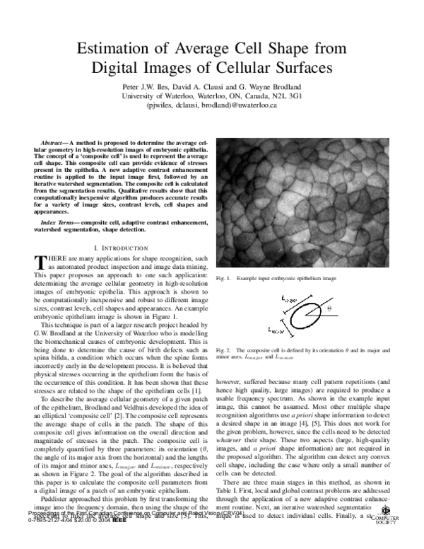 (PDF) Estimation of average cell shape from digital images of cellular surfaces