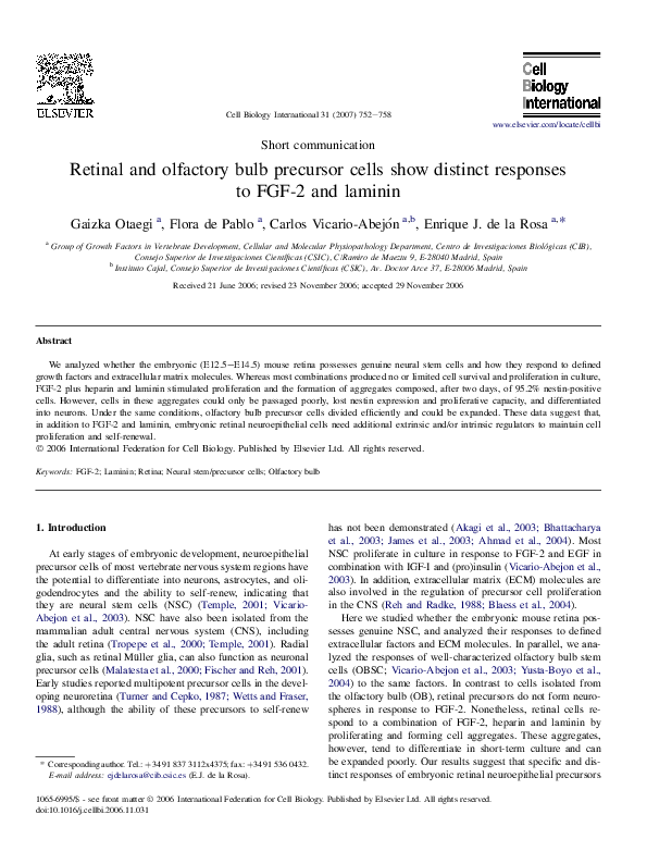 (PDF) Retinal and olfactory bulb precursor cells show distinct ...