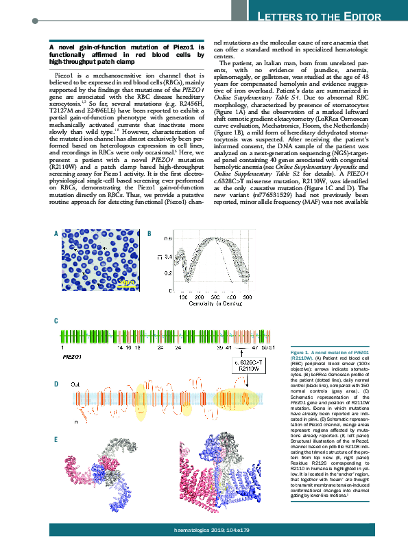 Pdf A Novel Gain Of Function Mutation Of Piezo1 Is Functionally