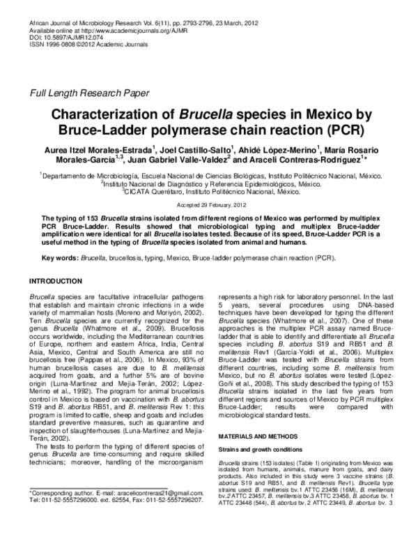 Pdf Characterization Of Brucella Species In Mexico By Bruce Ladder Polymerase Chain Reaction Pcr
