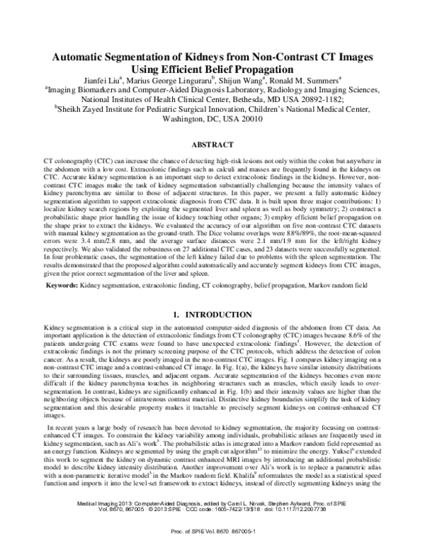 (PDF) Automatic segmentation of kidneys from non-contrast CT images using efficient belief ...