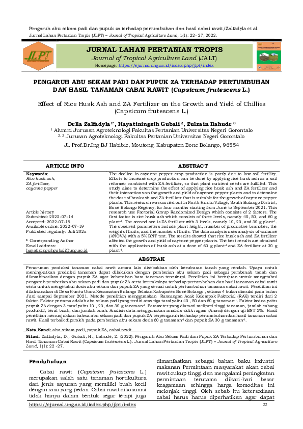 (PDF) PENGARUH ABU SEKAM PADI DAN PUPUK ZA TERHADAP PERTUMBUHAN DAN HASIL TANAMAN CABAI RAWIT ...
