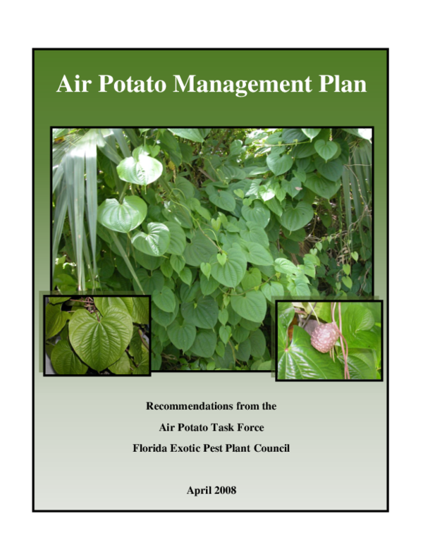 (PDF) Air Potato Management Plan Recommendations from the Air Potato ...