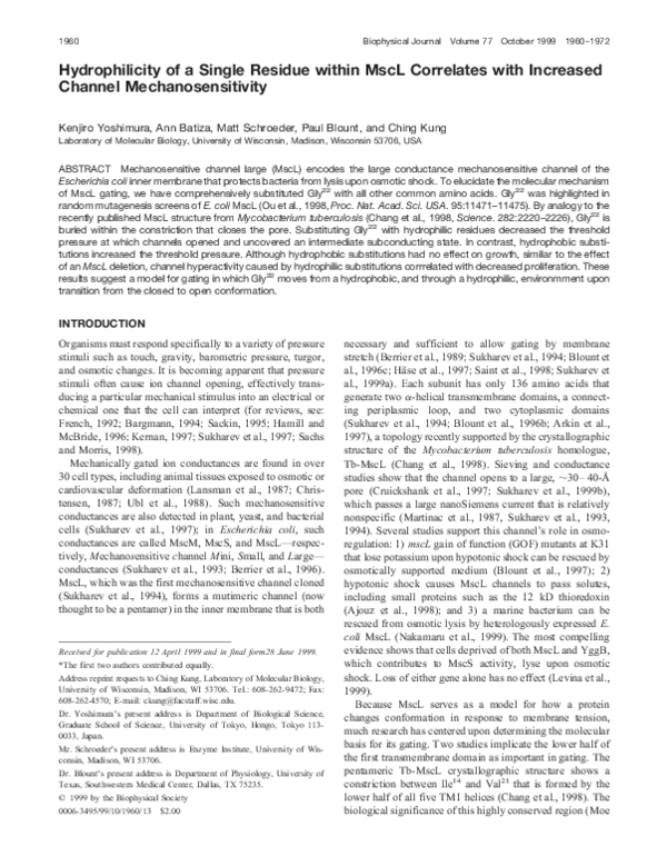 (PDF) Hydrophilicity of a Single Residue within MscL Correlates with ...