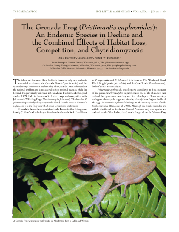 (PDF) The Grenada Frog (Pristimantis euphronides)